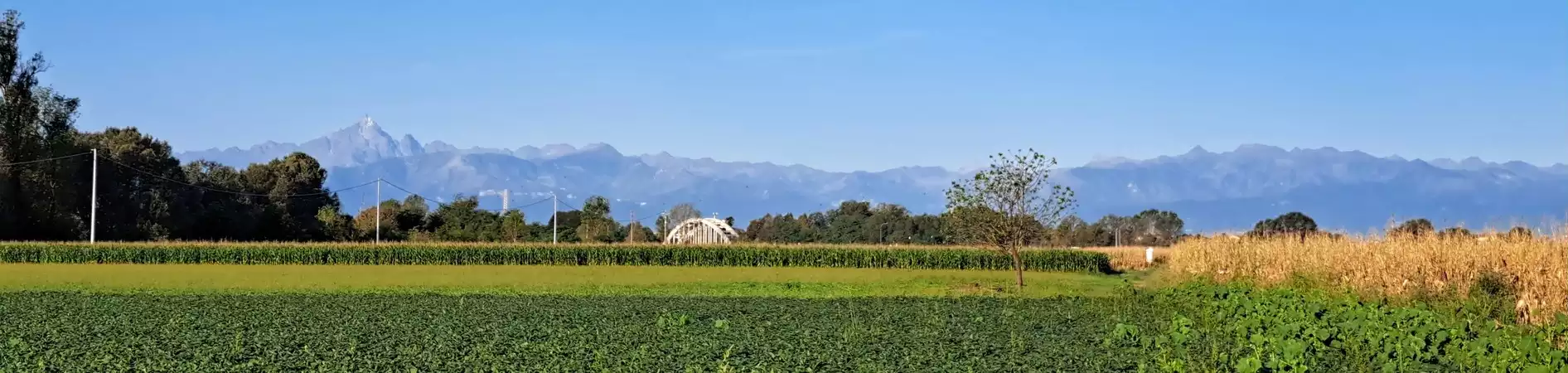 Comune di Carignano - Home Page